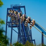 San Antonio: SeaWorld Skip-the-Line Park Admission Ticket - What to Expect at SeaWorld San Antonio