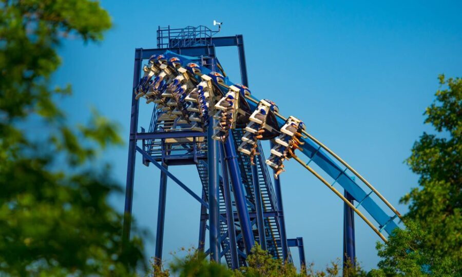 San Antonio: SeaWorld Skip-the-Line Park Admission Ticket - What to Expect at SeaWorld San Antonio