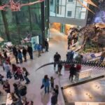 San Antonio: Witte Museum Admission Ticket - Texas Heritage Center: A Window into the Past