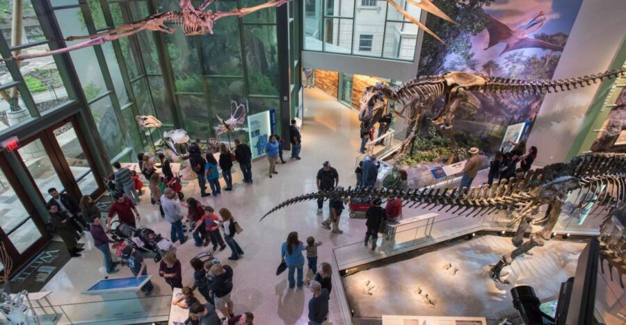 San Antonio: Witte Museum Admission Ticket - Texas Heritage Center: A Window into the Past
