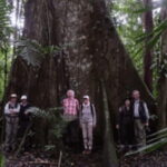 San Cristobal: 2 Days in the Southern Selva Lacandona Tour - The Practicalities: What Makes This Tour Stand Out