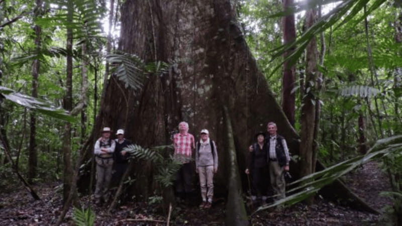 San Cristobal: 2 Days in the Southern Selva Lacandona Tour - The Practicalities: What Makes This Tour Stand Out