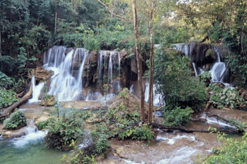 San Cristobal: 3 Days Expedition of North Lacandona Jungle - What Makes This Tour Stand Out