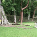 San cristobal- 4 Days Kayak Tour in Lacandona Jungle - The Experience: What Travelers Might Expect