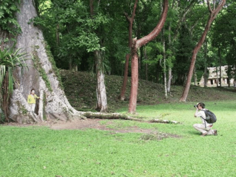 San cristobal- 4 Days Kayak Tour in Lacandona Jungle - The Experience: What Travelers Might Expect