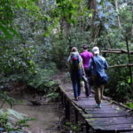 San Cristobal: 5 Days Jungle Adventure - What to Expect: Practical Details