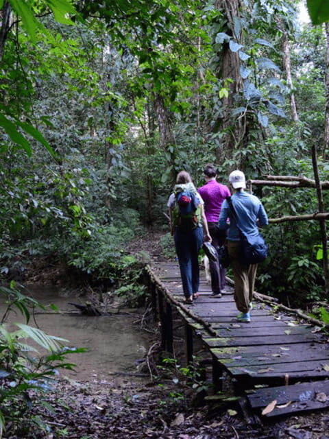 San Cristobal: 5 Days Jungle Adventure - What to Expect: Practical Details