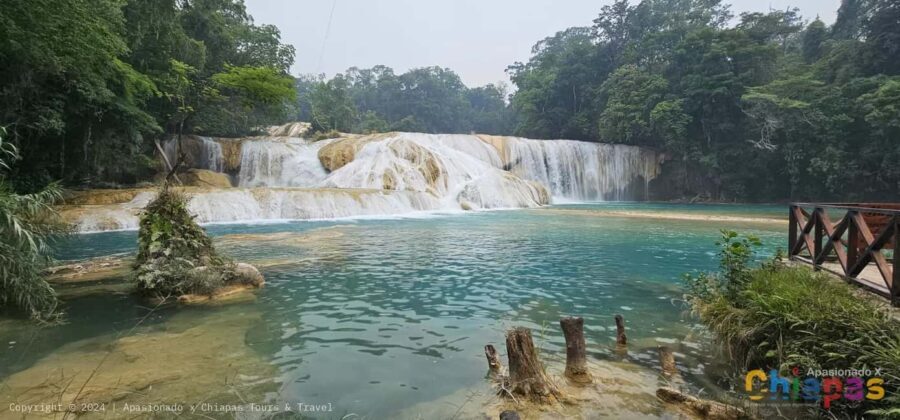 San Cristobal: Agua Azul, Misol Ha & Palenque Experience - Practical Details: What It Means for You