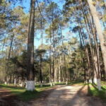 San Cristobal: Rancho Nuevo Caves and Arcotete Tour - Activities and What to Expect