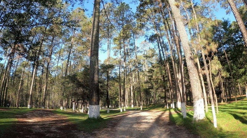 San Cristobal: Rancho Nuevo Caves and Arcotete Tour - Activities and What to Expect