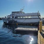 San Diego: 3 Hour Whale Watching Cruise - FAQ