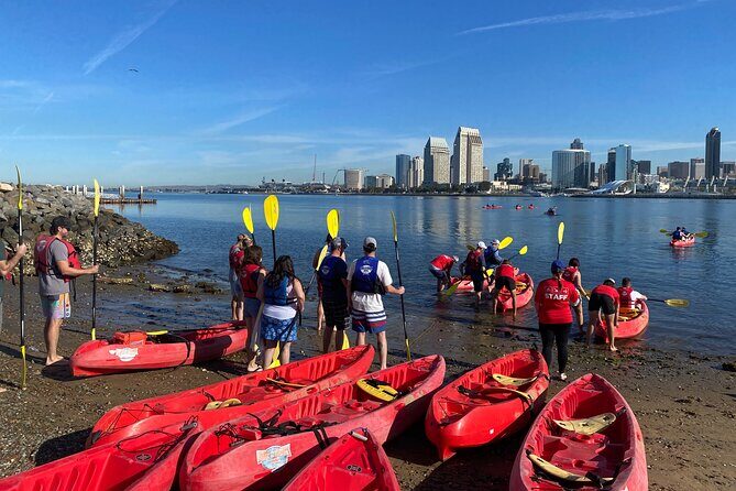San Diego Bay 1.5-Hour Guided Kayak Tour in Coronado - Who Should Consider This Tour?