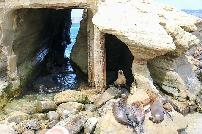 San Diego Day Tour from Orange County - What’s Included and How It Benefits You