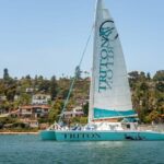 San Diego Harbor Cruise: 2.5 hour Catamaran Cruise - Exceptional Sights and Photo Opportunities