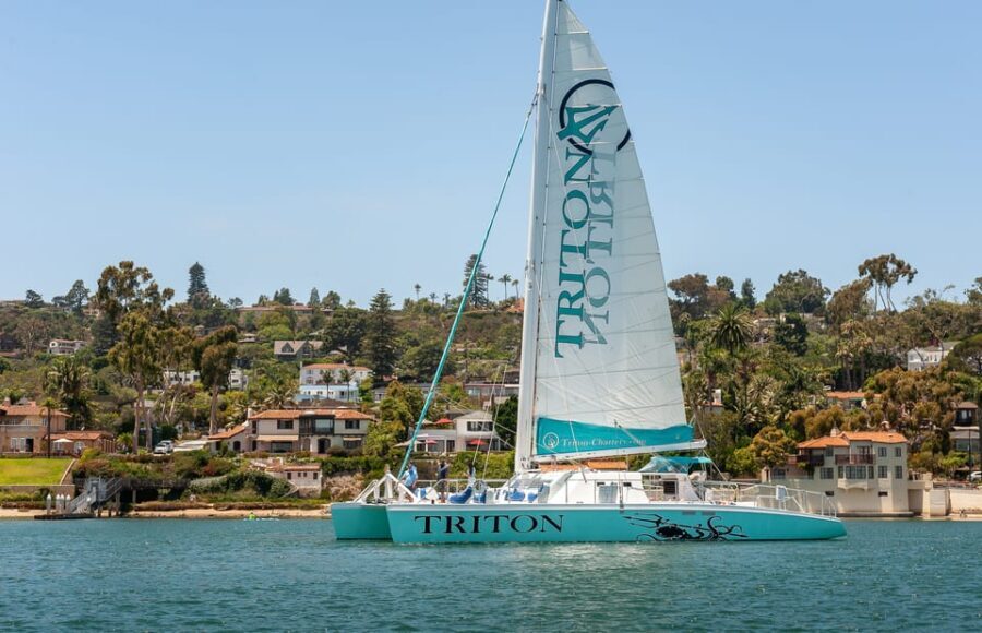 San Diego Harbor Cruise: 2.5 hour Catamaran Cruise - Exceptional Sights and Photo Opportunities