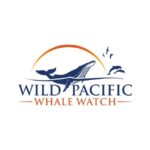 San Diego: Luxury Year-round Whale Watching & Dolphin Tour - Key Points