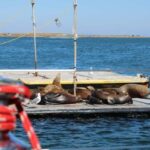 San Diego: Private Morning Sail up to 12 guests - Why This Tour Offers Good Value
