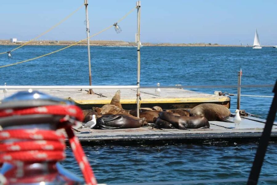 San Diego: Private Morning Sail up to 12 guests - Why This Tour Offers Good Value