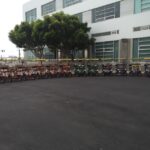 San Fancisco: Golden Gate Park Surrey Rental - Logistics and Practicalities