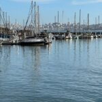San Francisco 4 Hour Private Black SUV Tour - The Experience: What You Can Expect