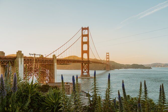 San Francisco Airport Transfer to SFO City (Special Offer) - Frequently Asked Questions