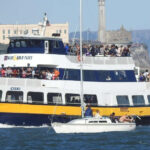 San Francisco: Alcatraz Island & Guided Muir Woods Tour - The Value of Guided Tours and Expert Narration