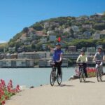 San Francisco: Bike Tour with Muir Woods and Sausalito Visit - Why This Tour Works for Travelers