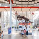 San Francisco: California Academy of Sciences Entry Ticket - The Rainforest Dome: Tropical Wonder