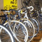 San Francisco: Golden Gate Park Bike Ride - What You Can Expect on the Ride