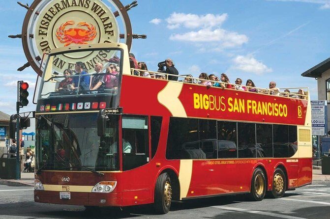 San Francisco: Guided Muir Woods Tour & Hop-on Hop-off Bus Tour - The Experience in Action: What Travelers Say