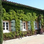 San Francisco: Half-Day Wine Country Tour with Wine Tastings - A Deep Dive into the Experience
