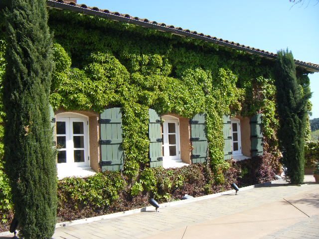 San Francisco: Half-Day Wine Country Tour with Wine Tastings - A Deep Dive into the Experience
