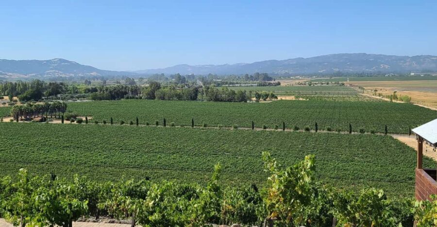 San Francisco: Half-Day Wine Tour with 2 Tastings Included - The Value of This Tour