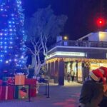 San Francisco: Holiday Lights Private Group Jeep Tour - Who Should Consider This Tour?