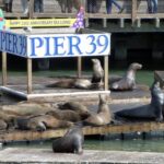 San Francisco: Hop-On Hop-Off Tour with Optional Night Tour - Practical Details and Value