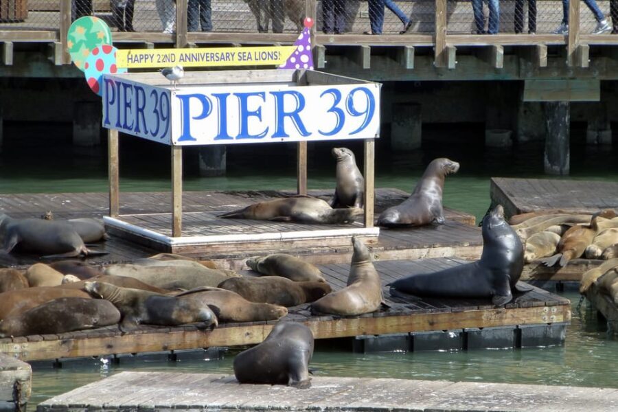 San Francisco: Hop-On Hop-Off Tour with Optional Night Tour - Practical Details and Value
