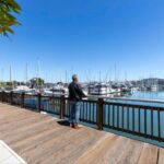 San Francisco: Muir Woods and Sausalito Entry Fee Included - Analyzing the Value