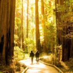 San Francisco: Muir Woods and Sausalito Experience - What Travelers Say