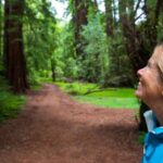San Francisco: Muir Woods and Sausalito Tour with Admission - The Practical Side of the Tour