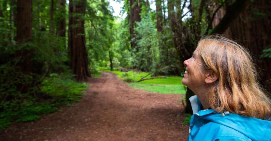 San Francisco: Muir Woods and Sausalito Tour with Admission - The Practical Side of the Tour