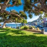 San Francisco: Muir Woods, San Francisco and Sausalito Tour - What You Can Expect From the Tour