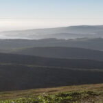 San Francisco: Muir Woods, Sausalito, and Sonoma Wine Tour - The Practical Side: Value & Logistics