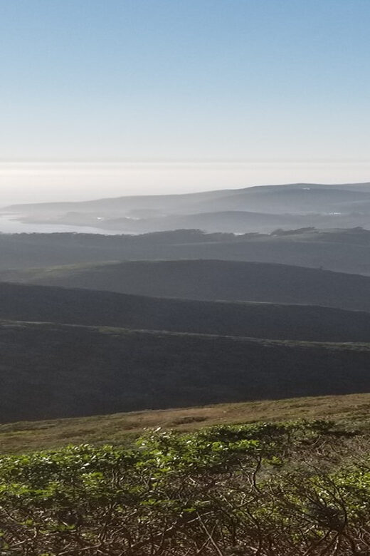 San Francisco: Muir Woods, Sausalito, and Sonoma Wine Tour - The Practical Side: Value & Logistics