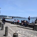 San Francisco: Muir Woods, Sausalito, and Tiburon Day Trip - About the Experience: What It Means for You