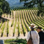 San Francisco: Napa and Sonoma Valley Wine Tour - What to Expect on the Tour