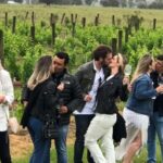 San Francisco: Napa Valley Half-Day Wine Tour with Tastings - Who Is This Tour Best For?