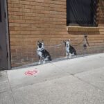 San Francisco: North Beach Food and History Walking Tour - Analyzing the Value: Is It Worth It?