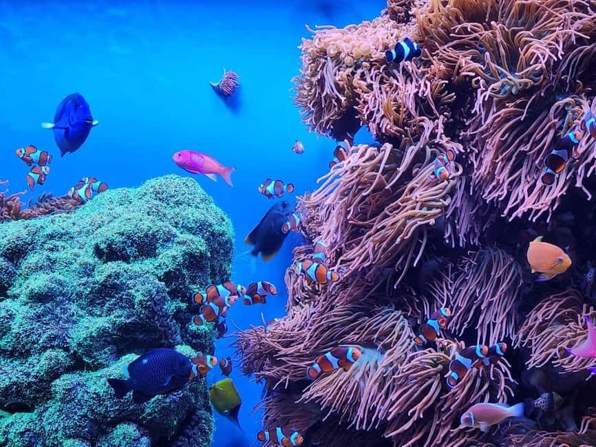San Francisco: Private Monterey Aquarium 17 Mile Carmel - What’s Included and What’s Not