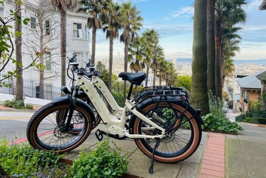 San Francisco: Summer of Love Guided eBike Tour - The Ride and the Guide