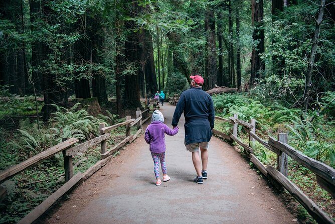 San Francisco Super Saver: Muir Woods & Wine Country w/ optional Gourmet Lunch - Authentic Insights from Travelers